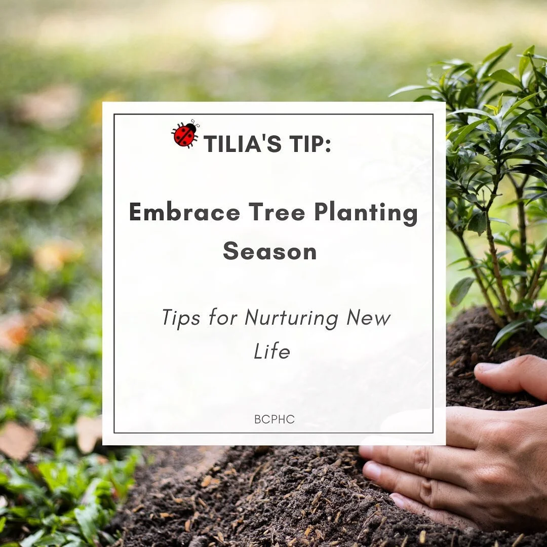 Education & Training — BC Plant Health Care | Tree Care & Arboriculture ...