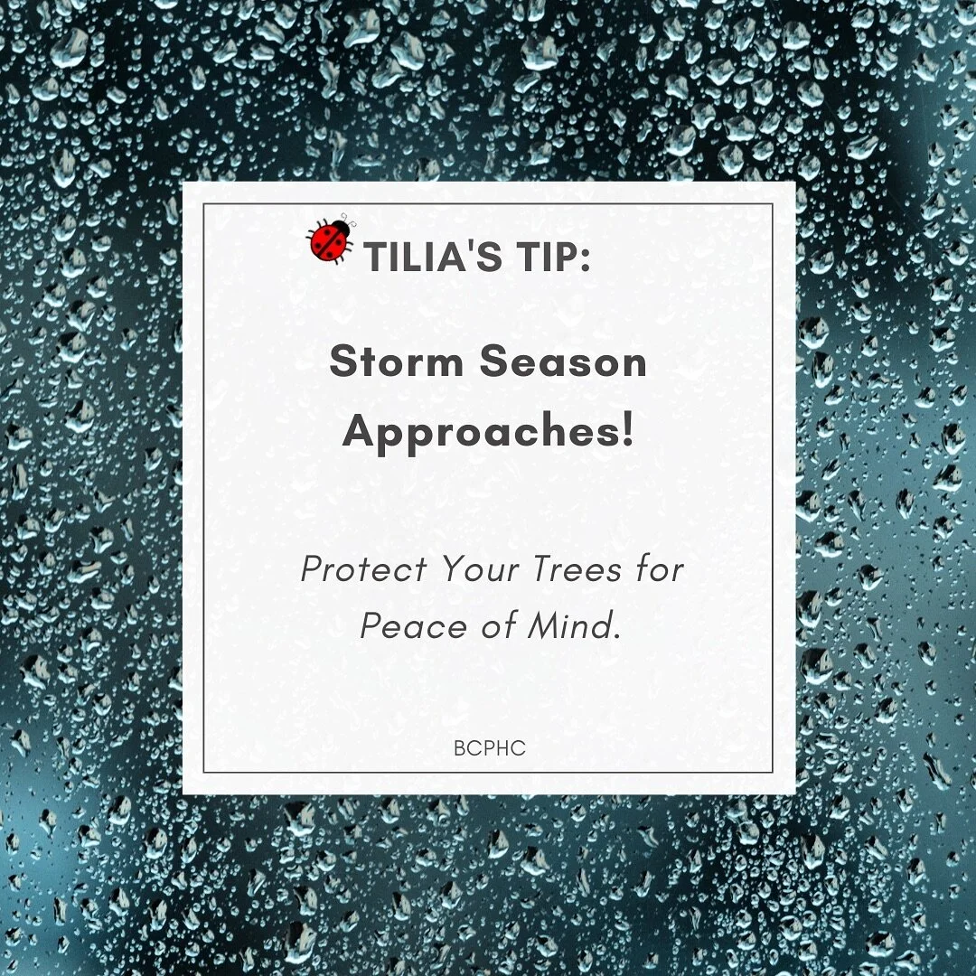 Education & Training — BC Plant Health Care | Tree Care & Arboriculture ...