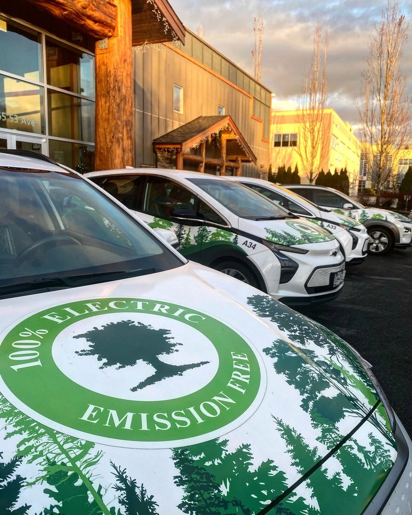 BC Plant Health Care | Tree Care & Arboriculture Services