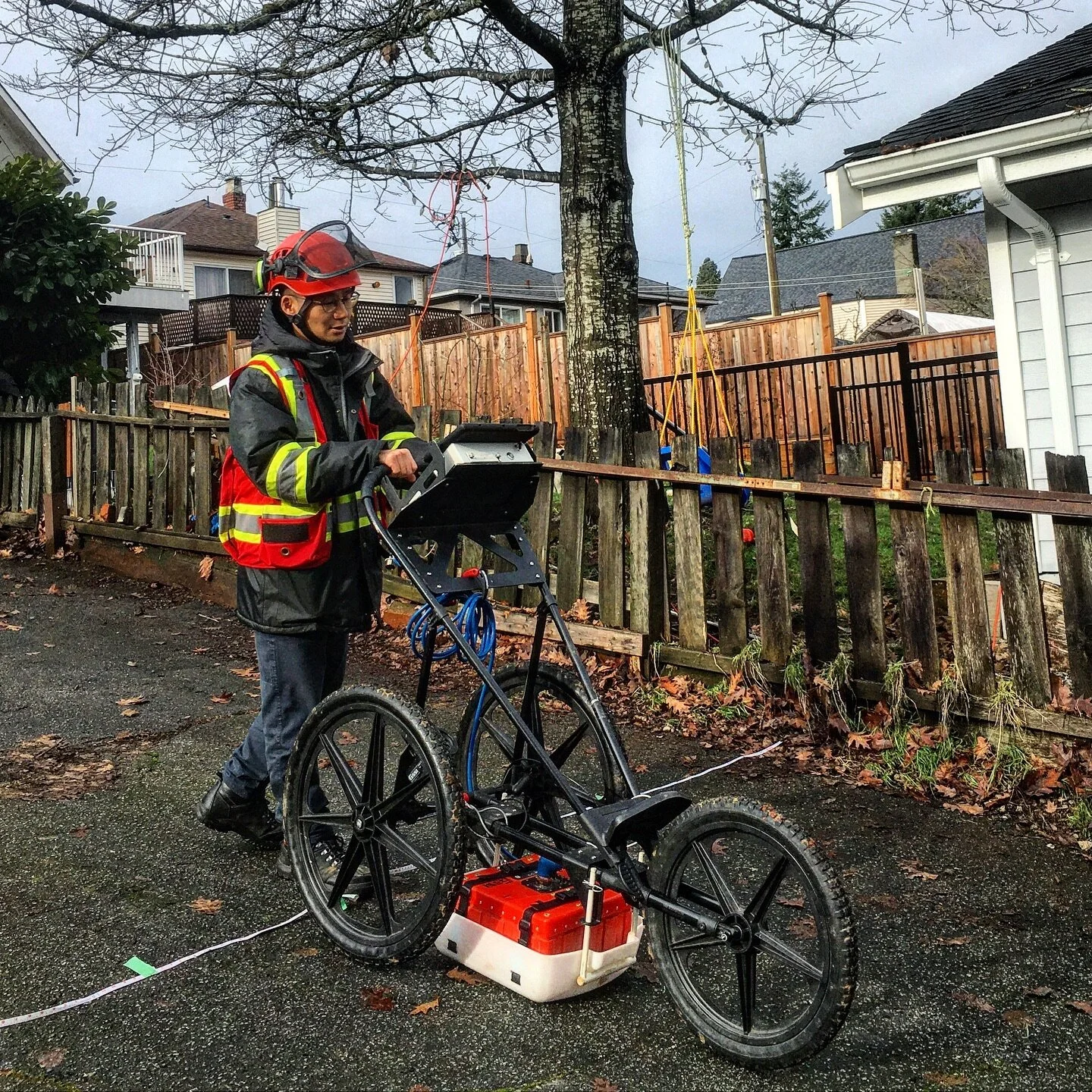 BC Plant Health Care | Tree Care & Arboriculture Services