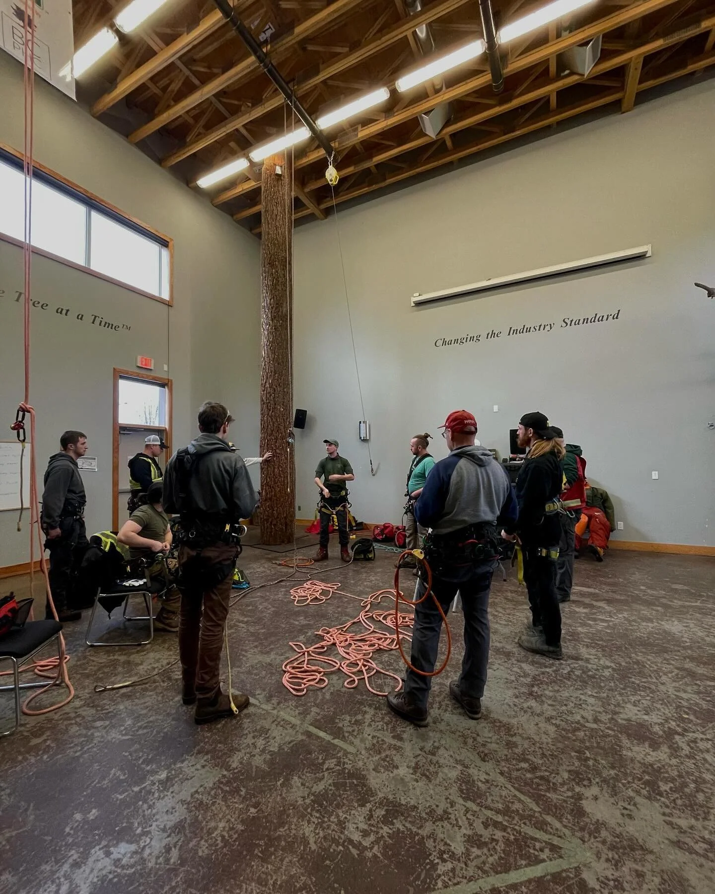 BC Plant Health Care | Tree Care & Arboriculture Services