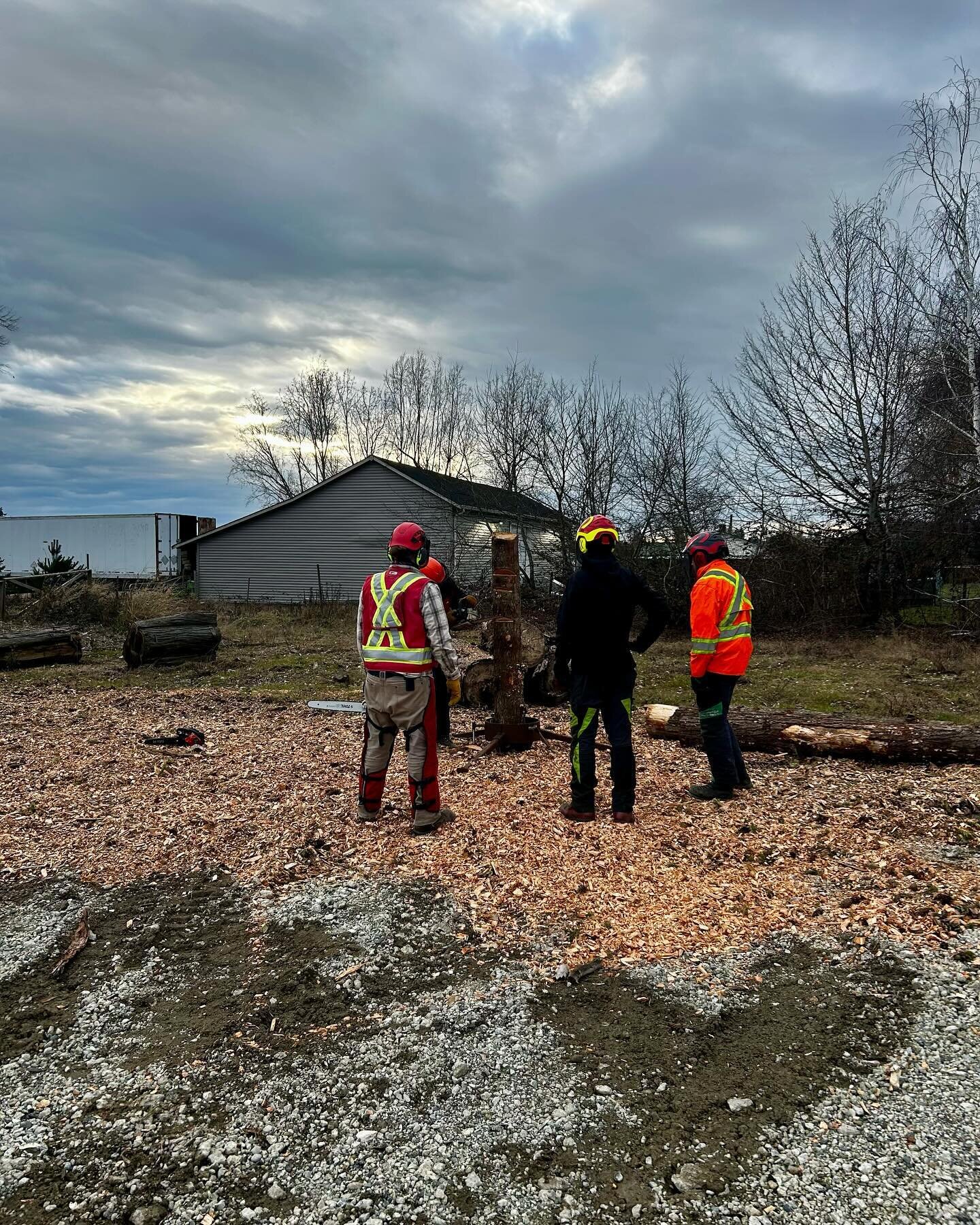 BC Plant Health Care | Tree Care & Arboriculture Services