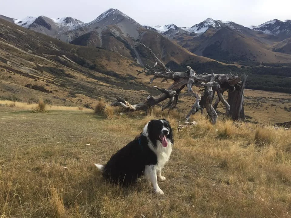 Hogs Back track — BREATHE EASY - Just BE