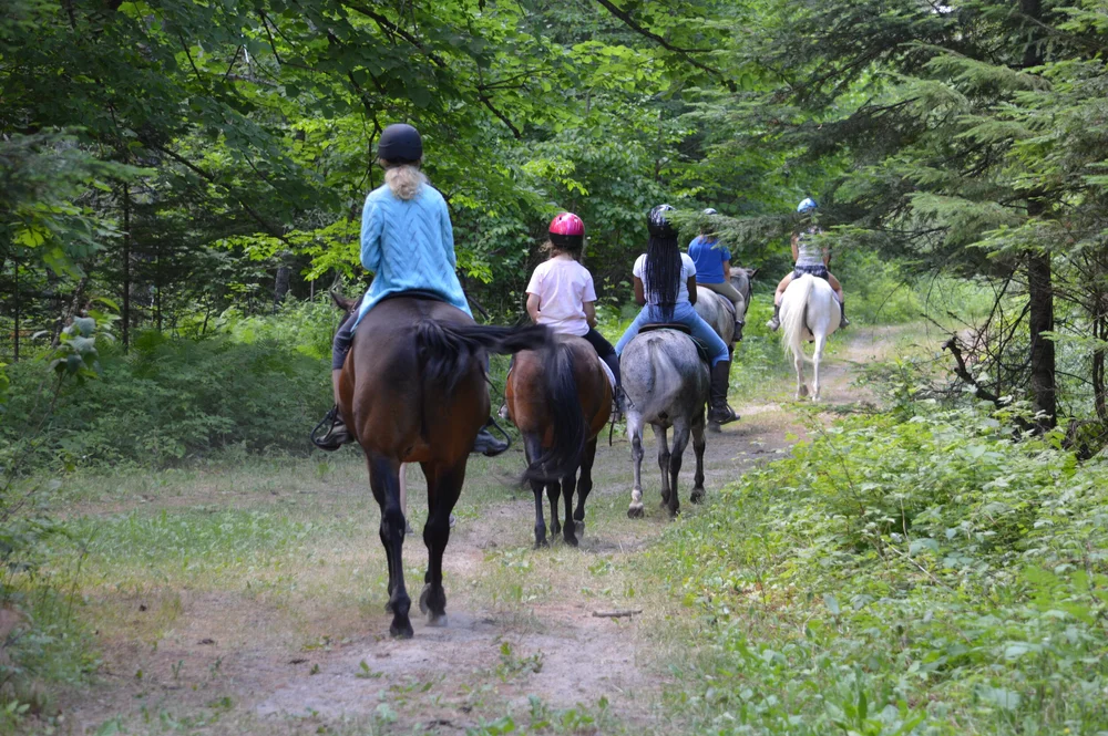 Horseback Riding Camp | Sleep Away Camp | English | Western — Camp ...
