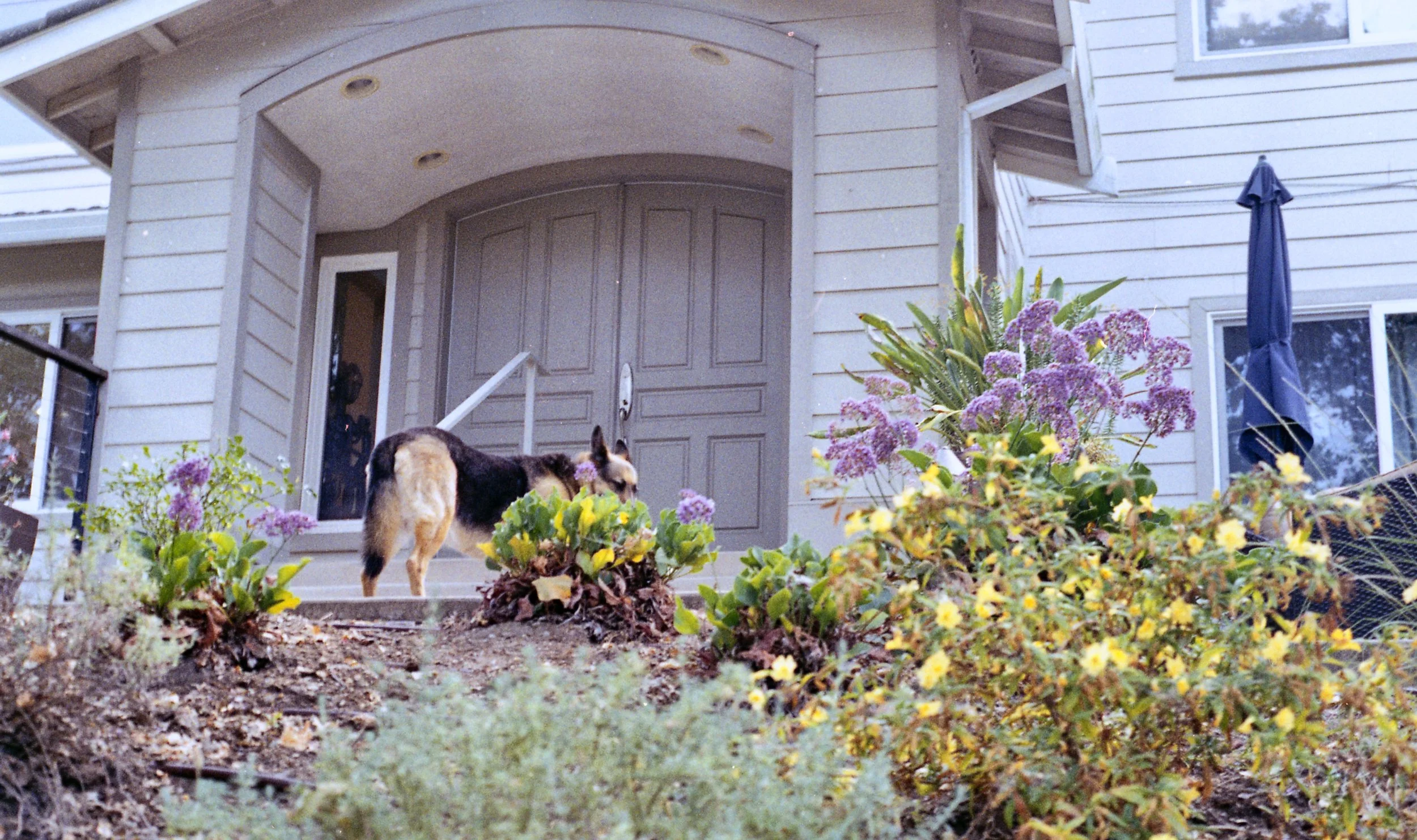 Film Photography — Matthew Winchell