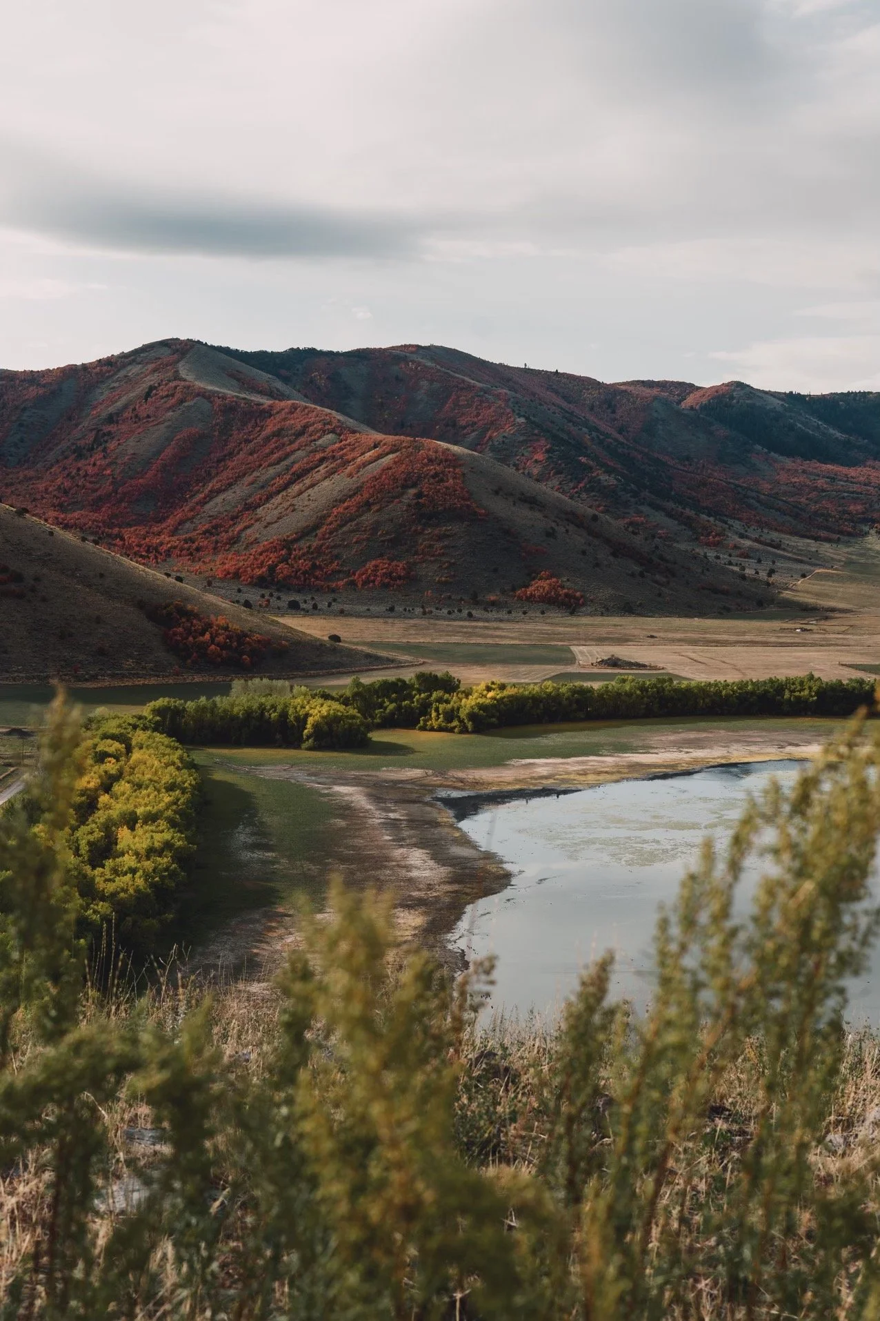 Explore Mantua, Utah: Local Government, Services, and Community Updates