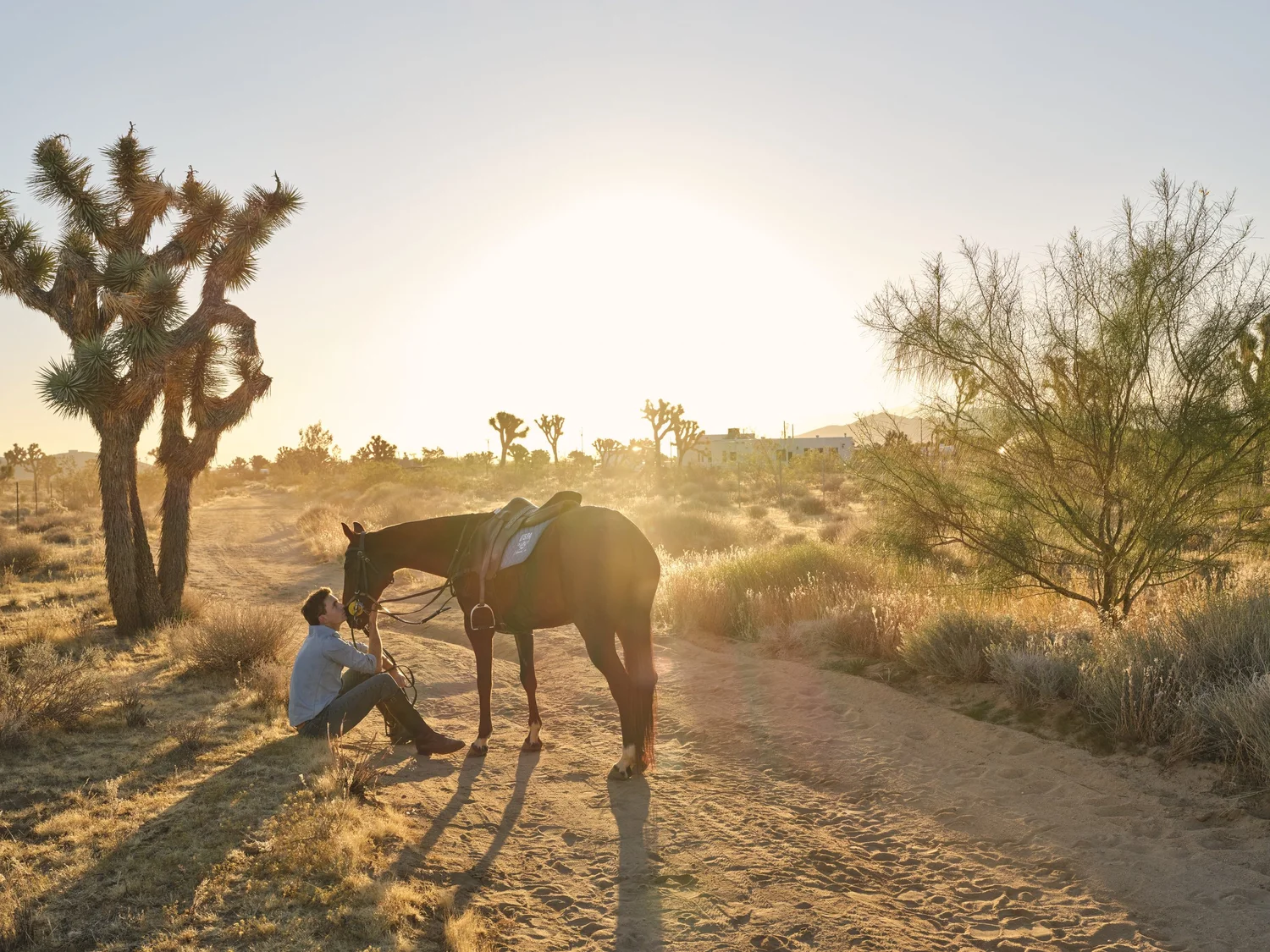 Boston, NYC & LA Photographer - Mark James Dunn Photography