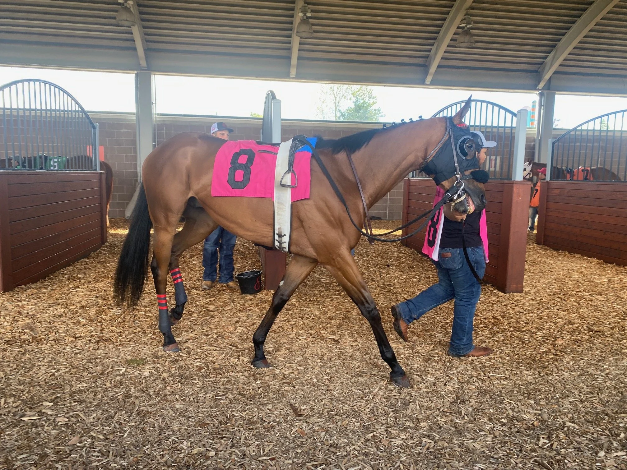 CURRENT STABLE — Horseplayers Racing Club