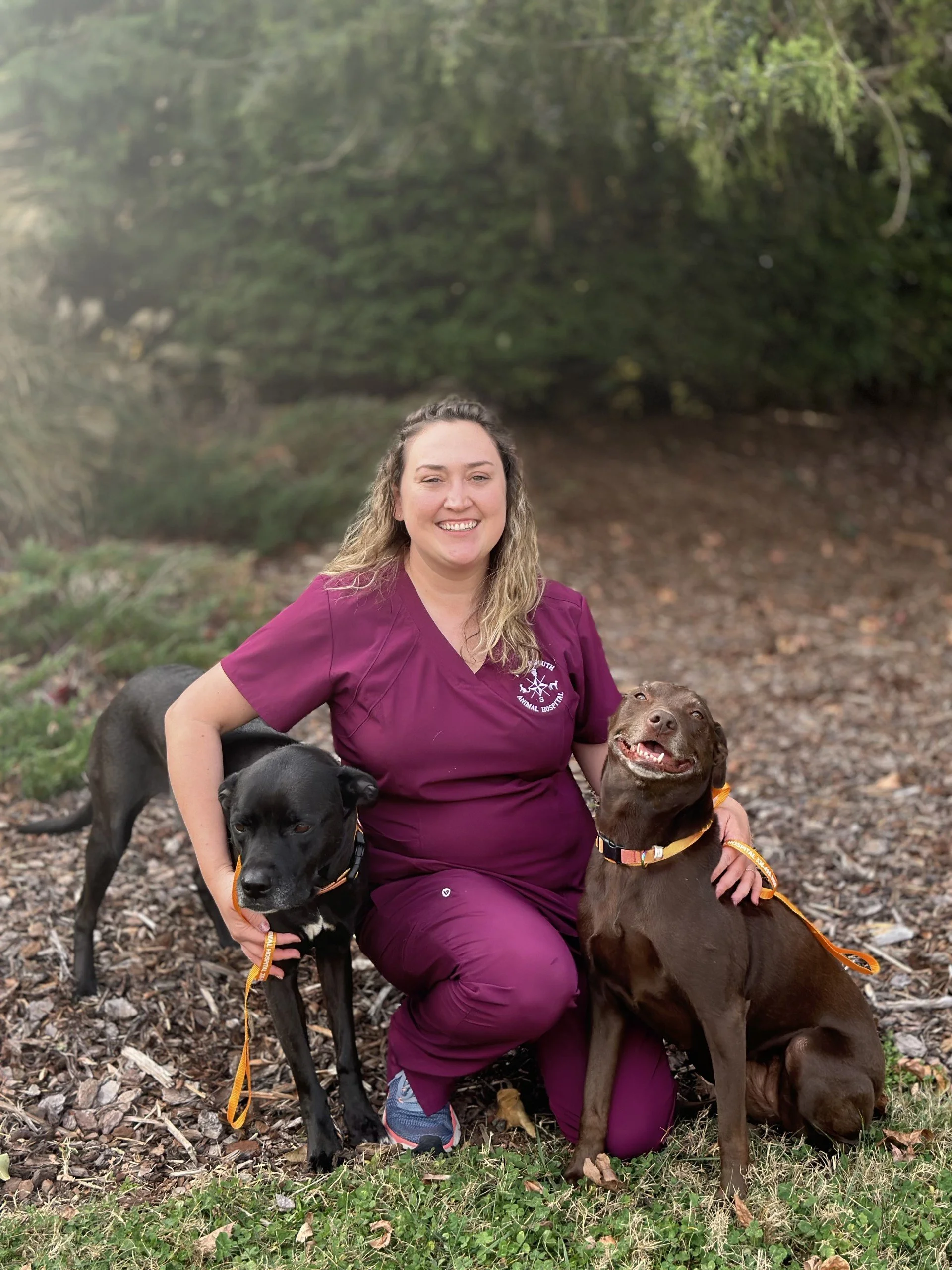 Our Team — Pointe South Animal Hospital
