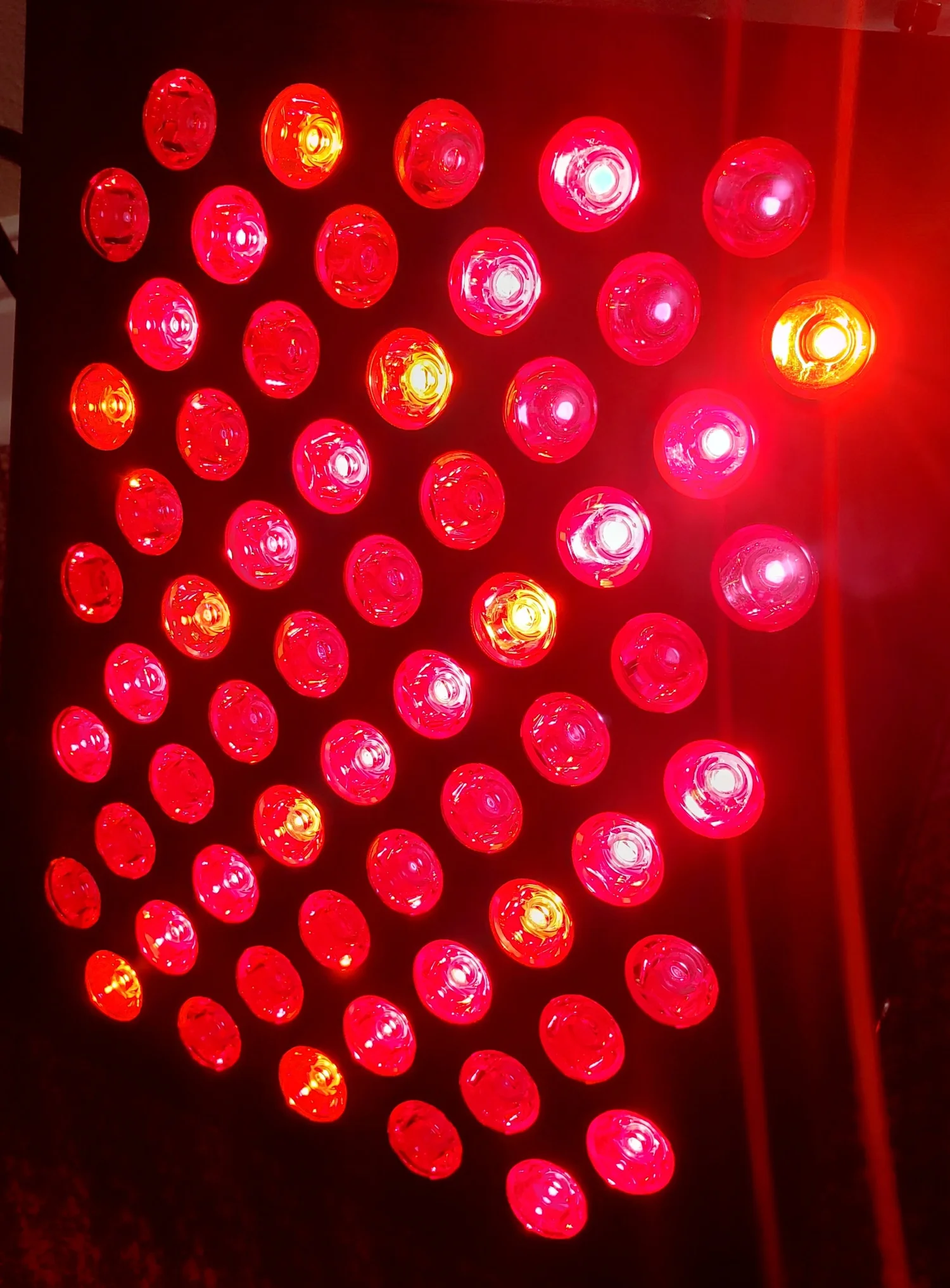 Red Light Therapy in Bismarck — NE Wellness