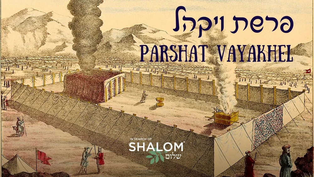 #22 — Parshat Vayakhel-Pequdei
