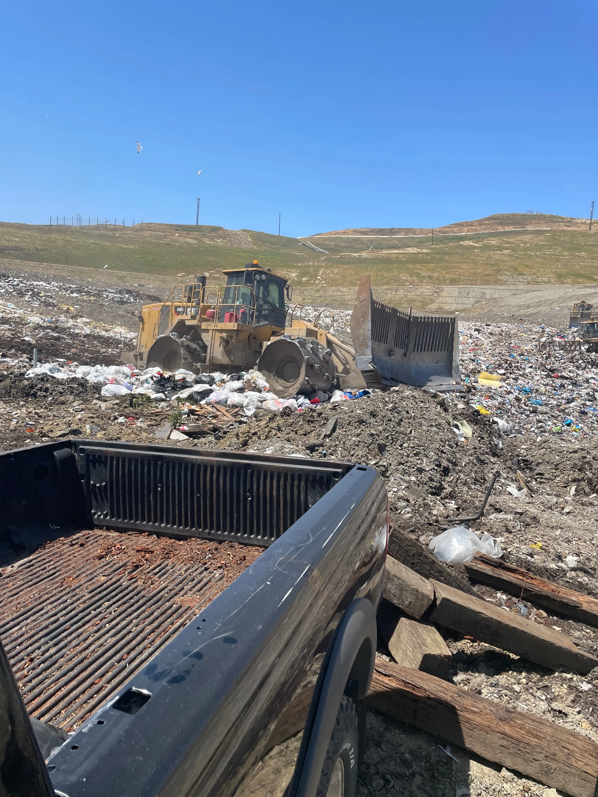 Responsible Waste Disposal in Landscaping: Ensuring Safety and ...