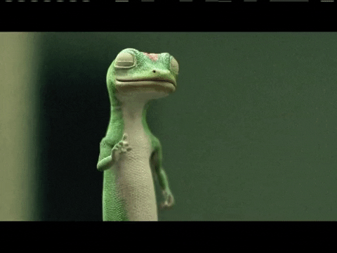 Geico Gif