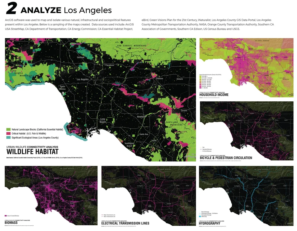 URBAN WILDLIFE CONNECTIVITY STUDY — SUPERFISKY