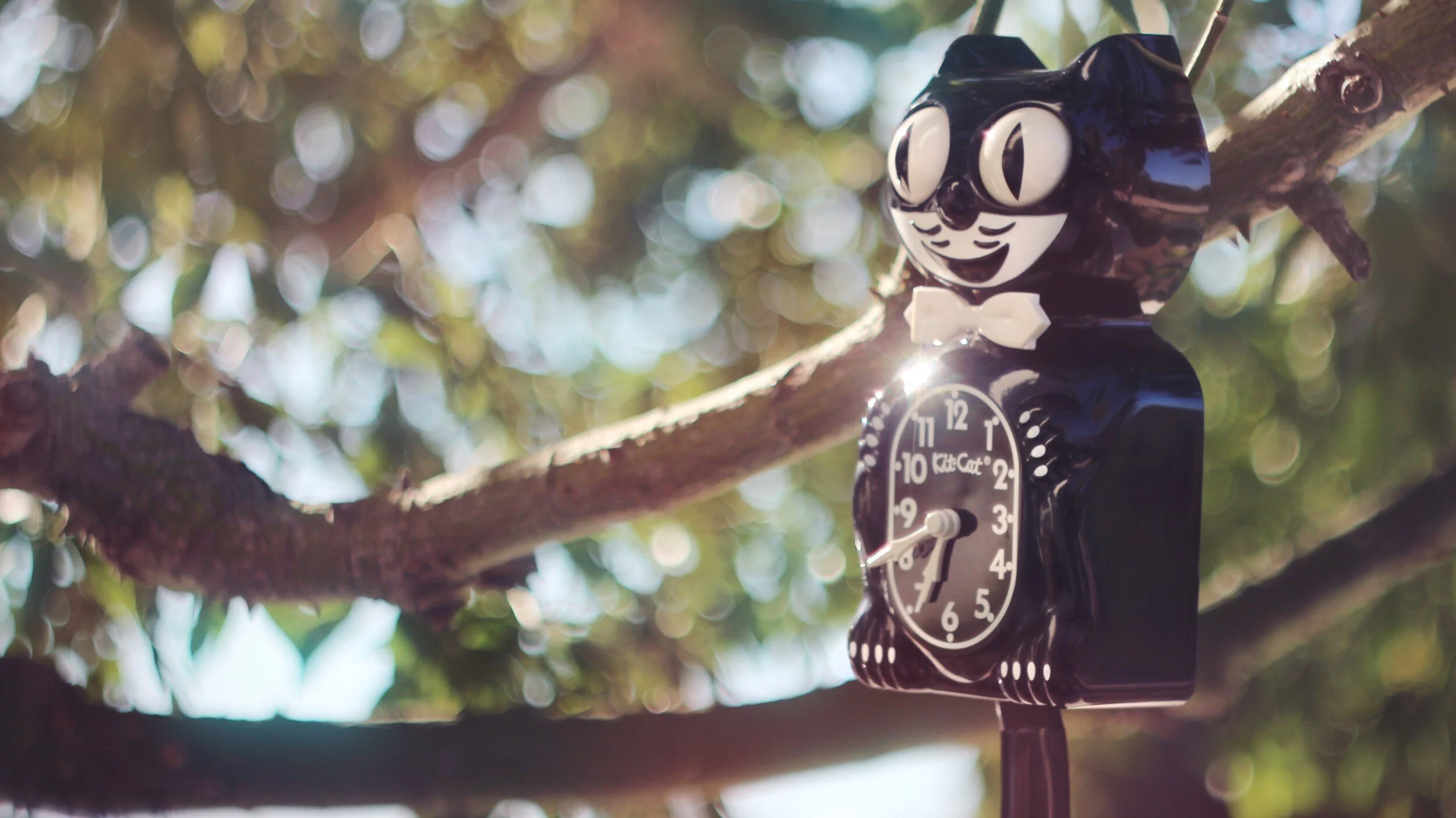 Kit-Cat Clock UK @ Kit-Cat.co.uk