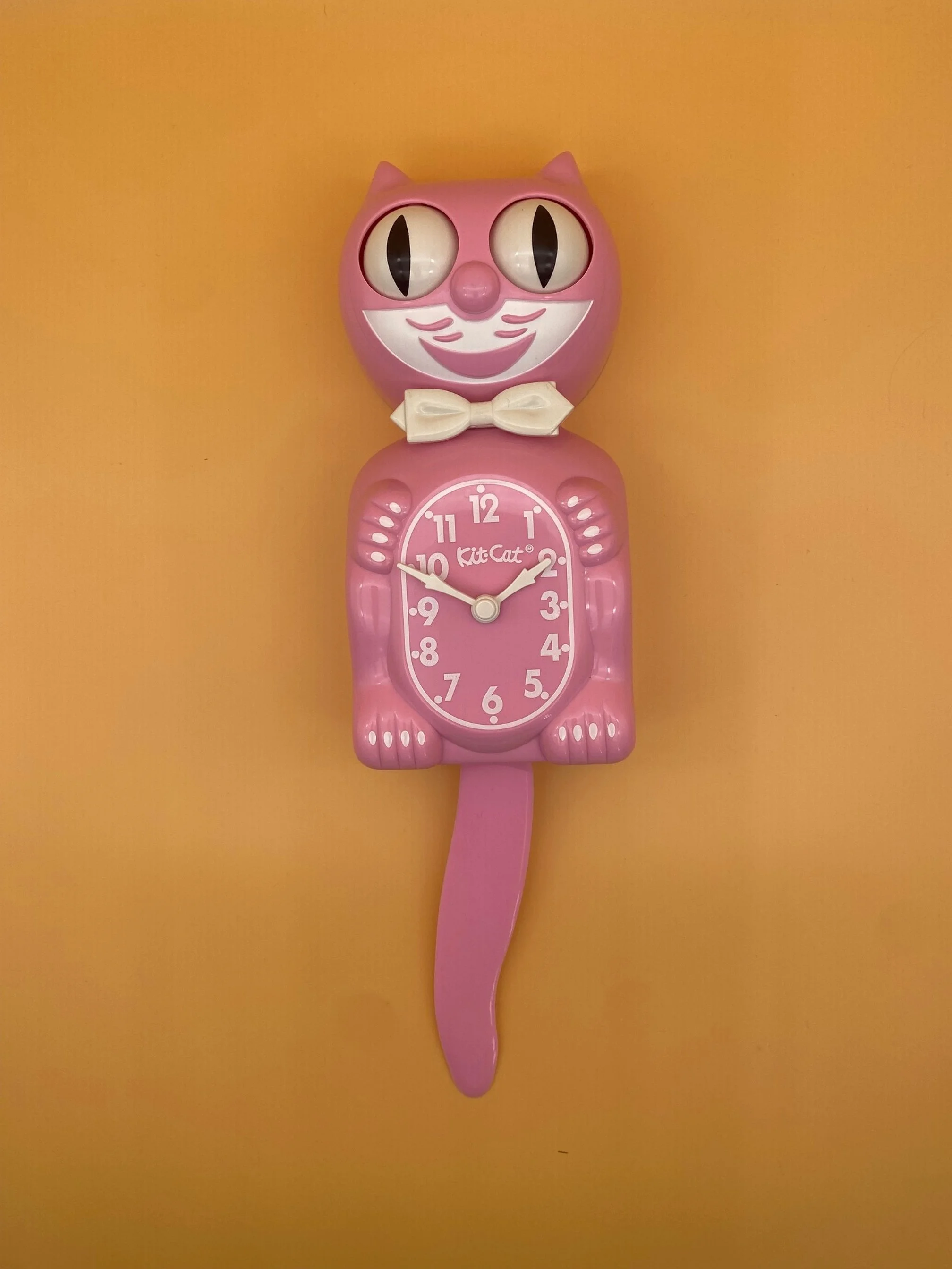 Rehome a Kit-Cat — Kit-Cat.co.uk