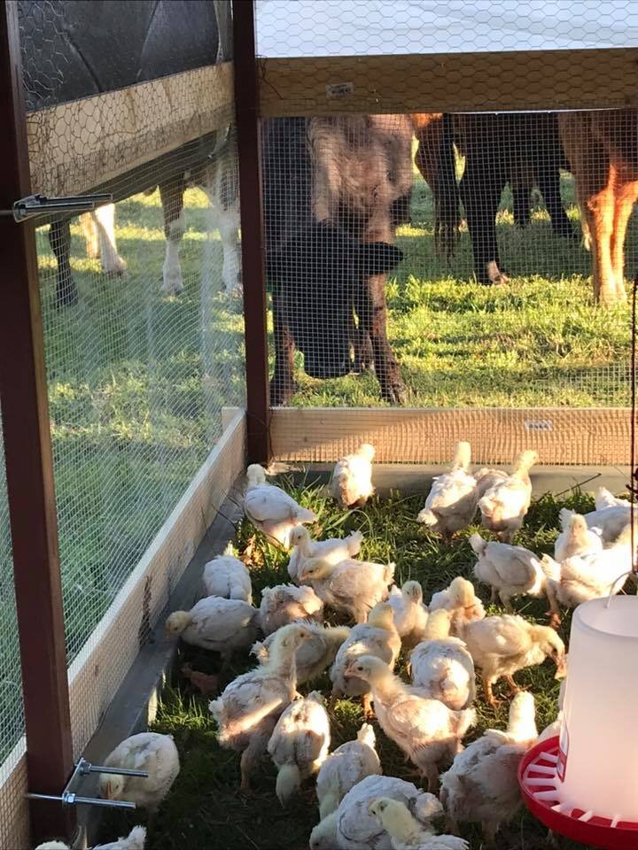 About — Buckeye Ranch