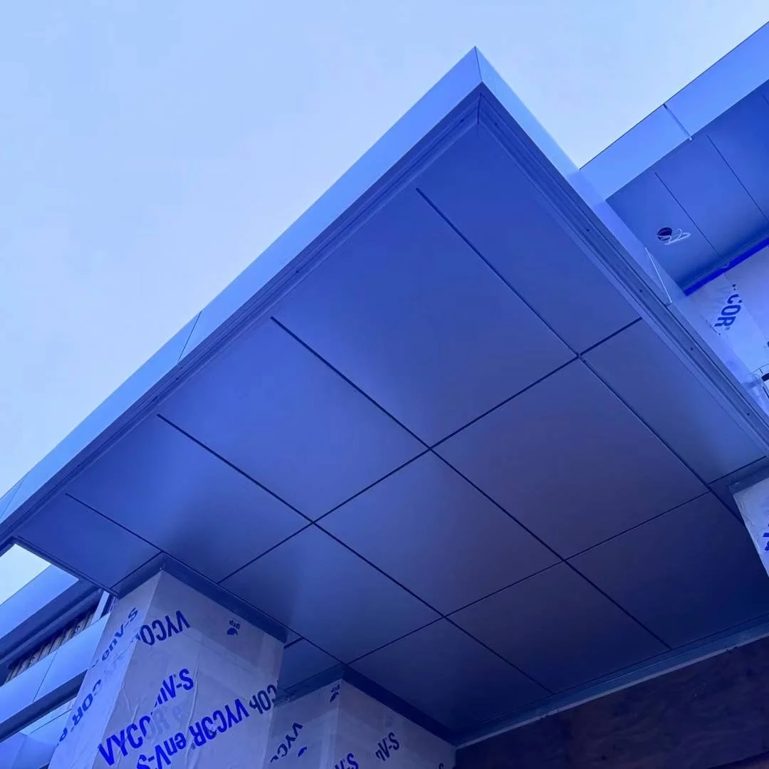 Project: 12 - Inches Snap Lock Panel — Great Valley Construction