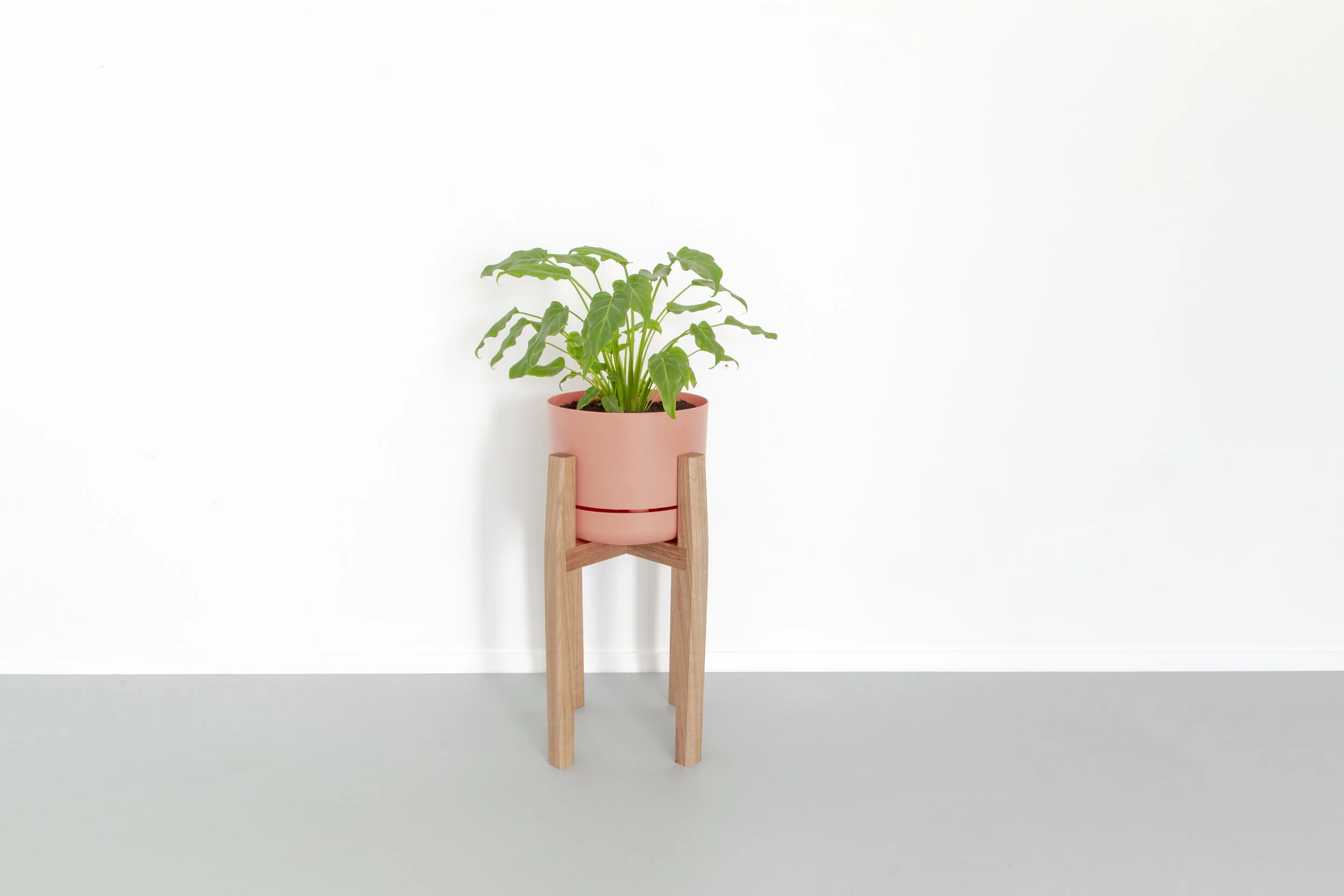 Small Wall Bracket — Jemmervale Designs