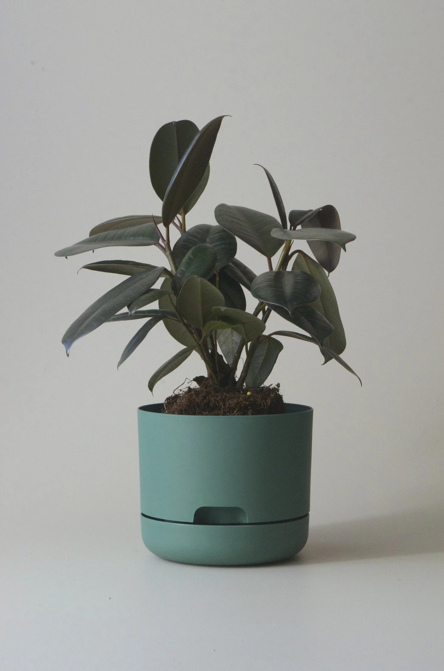 Small Wall Bracket — Jemmervale Designs