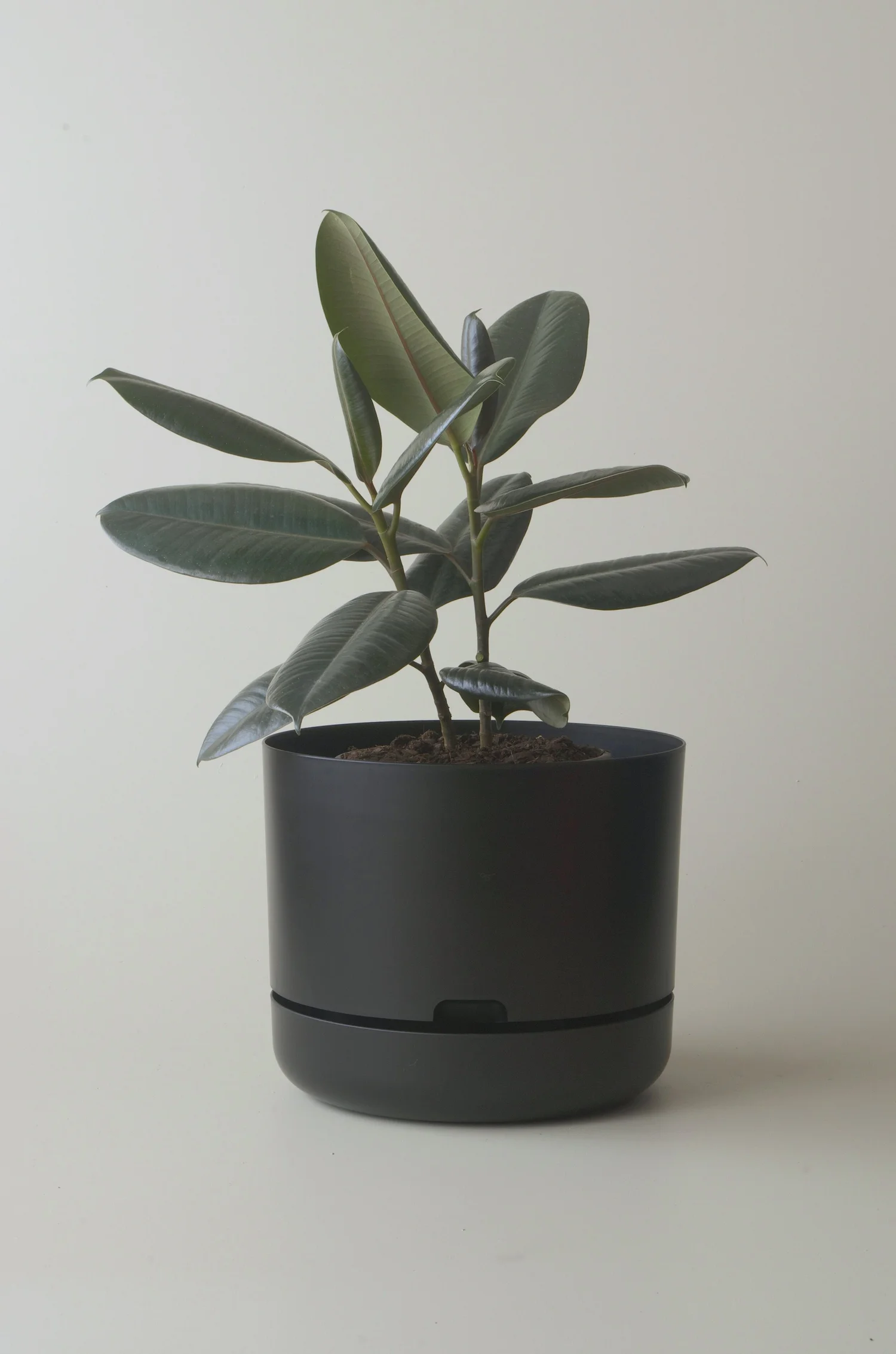 Small Wall Bracket — Jemmervale Designs