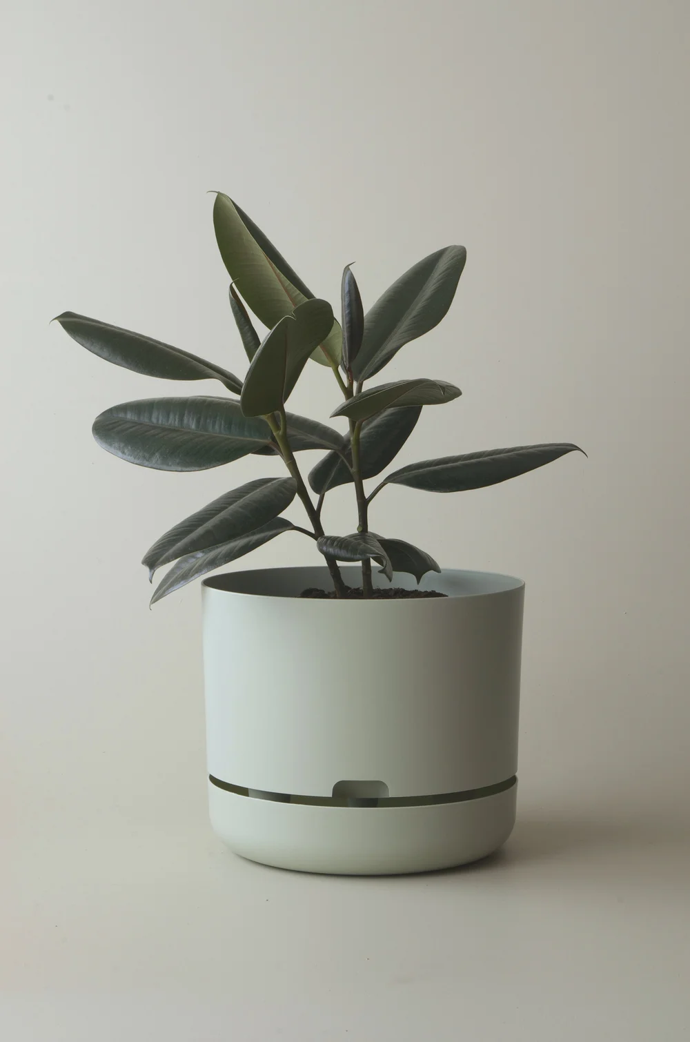 Small Wall Bracket — Jemmervale Designs