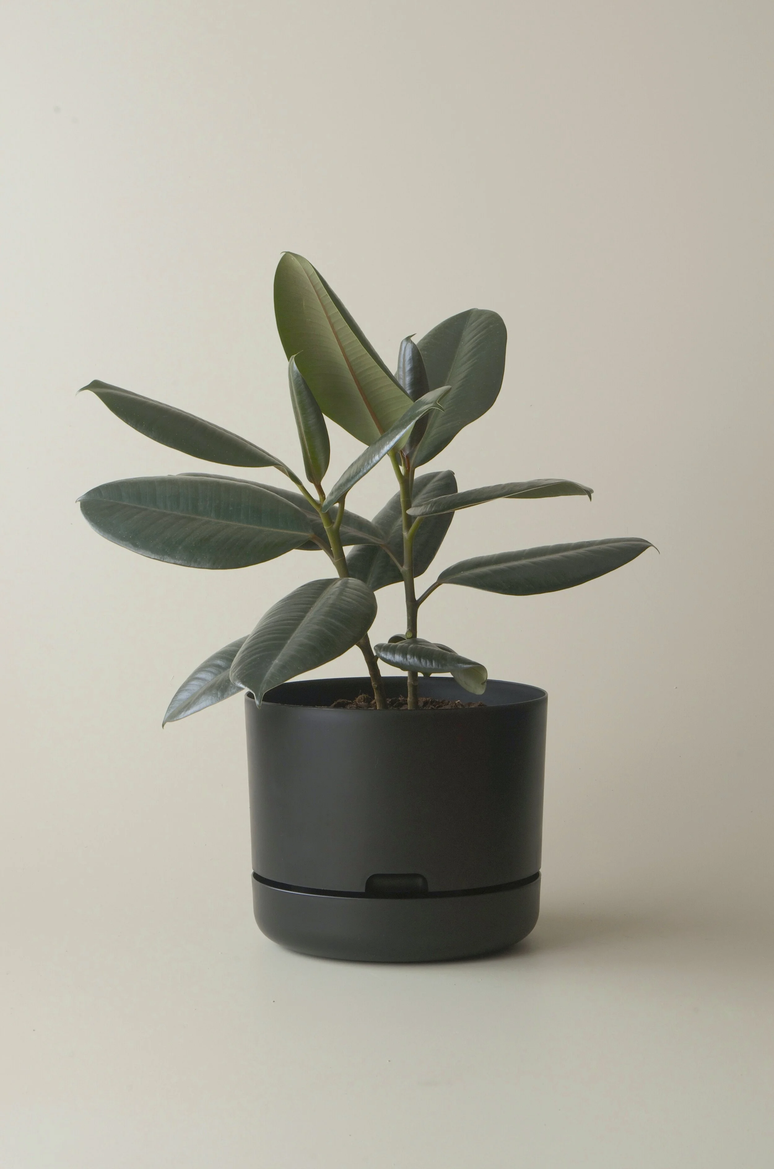 Small Wall Bracket — Jemmervale Designs
