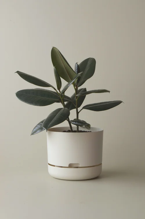 Small Wall Bracket — Jemmervale Designs