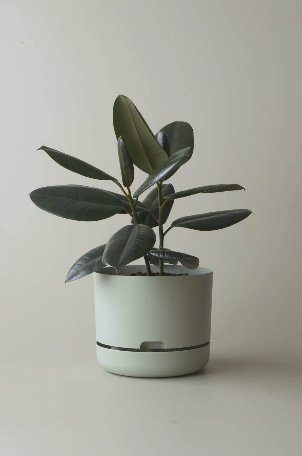 Small Wall Bracket — Jemmervale Designs