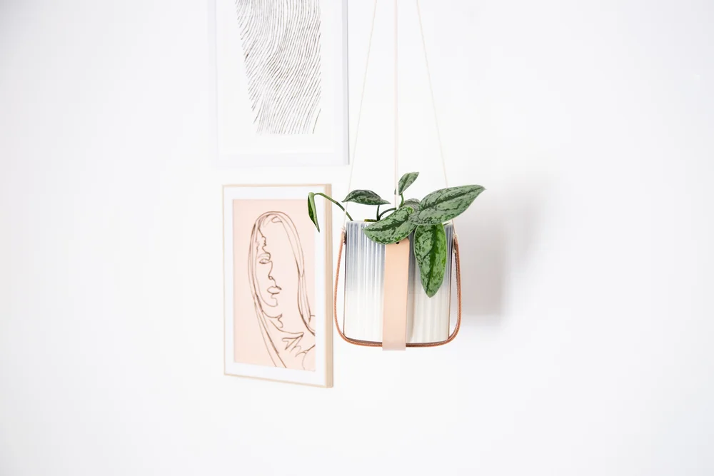Small Wall Bracket — Jemmervale Designs