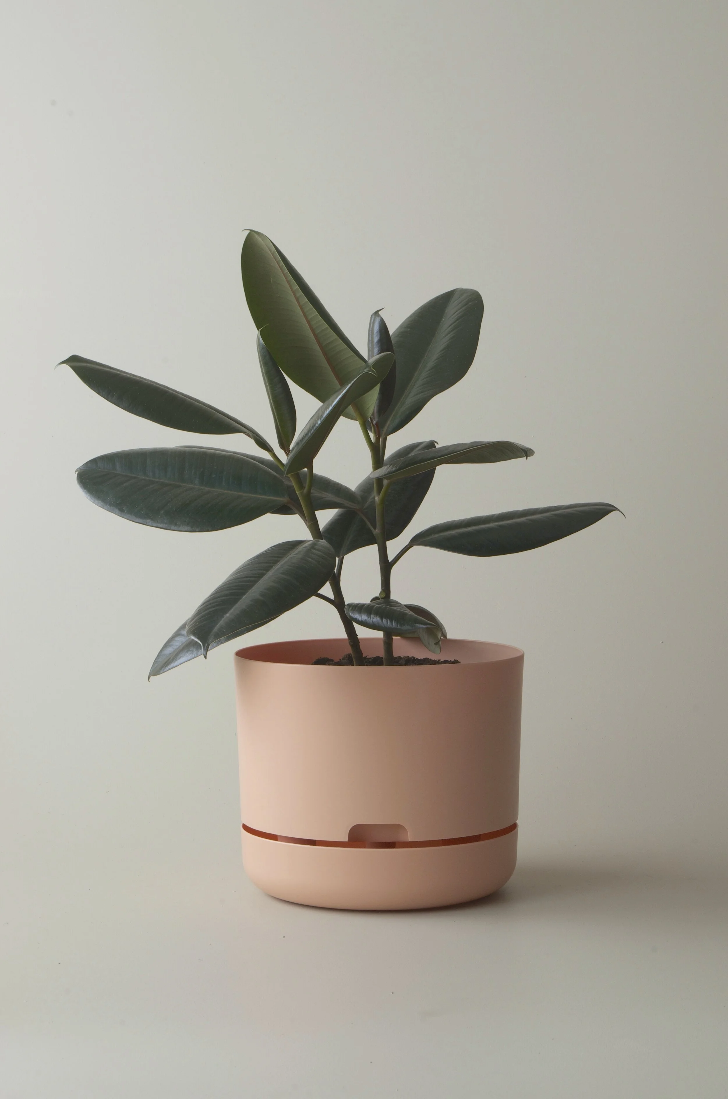 Small Wall Bracket — Jemmervale Designs
