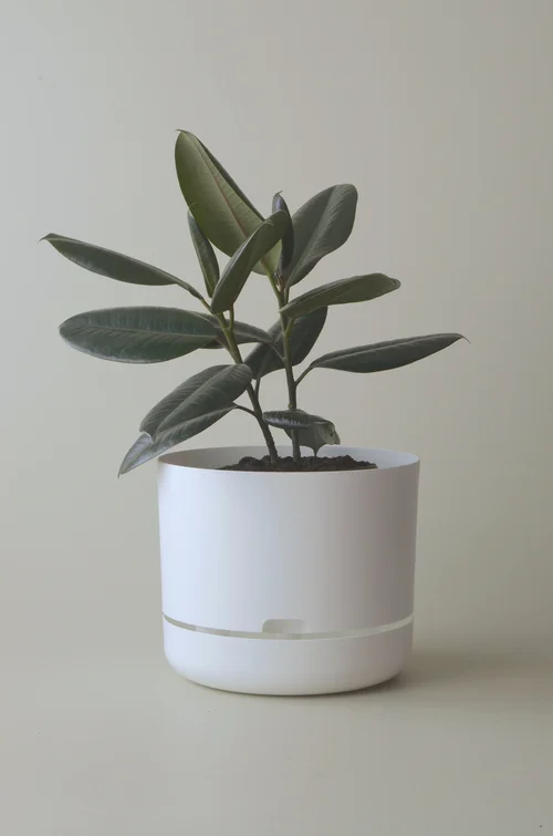 Small Wall Bracket — Jemmervale Designs