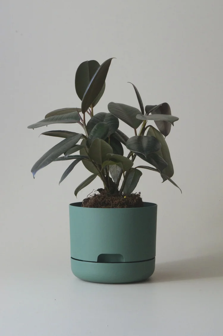 Small Wall Bracket — Jemmervale Designs
