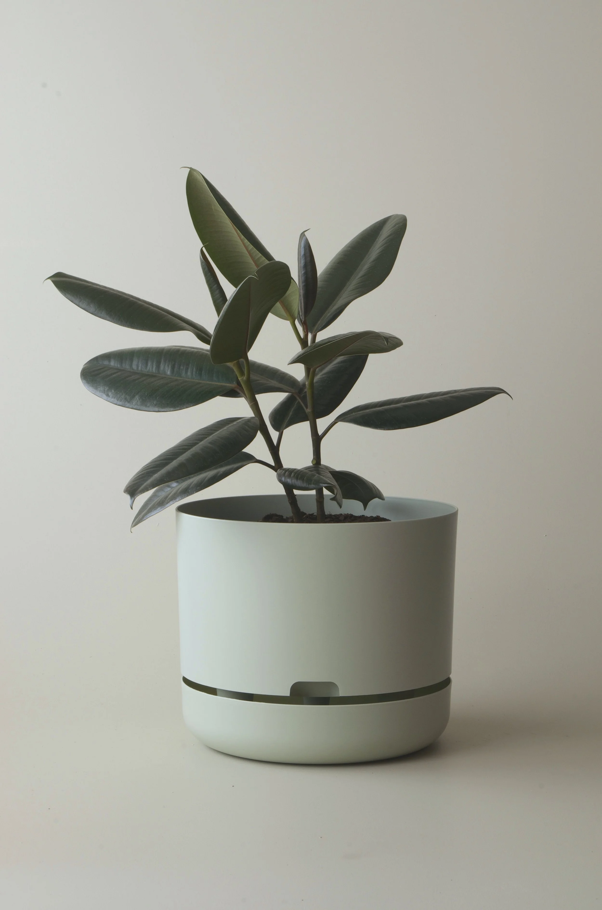 Small Wall Bracket — Jemmervale Designs