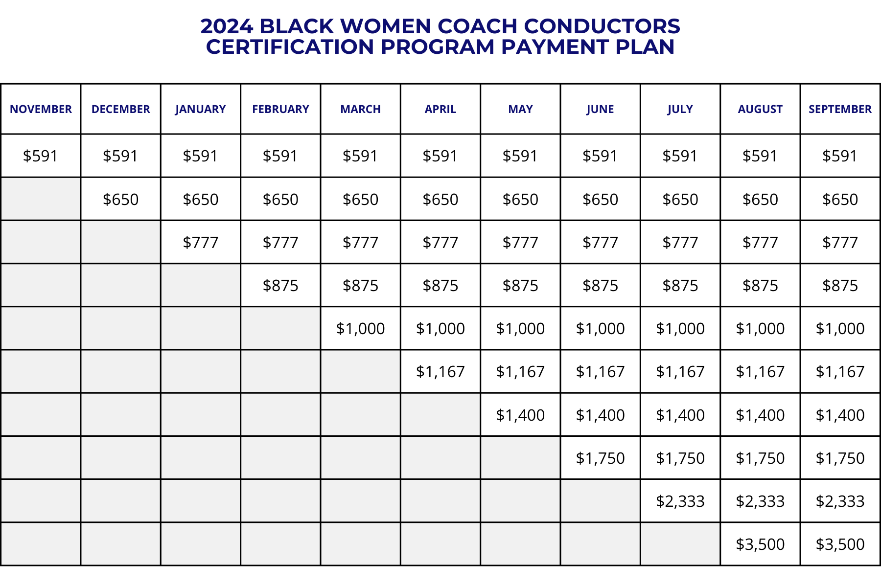 Black Women Conductors Coaching Certification Cohort | Blooming Willow ...