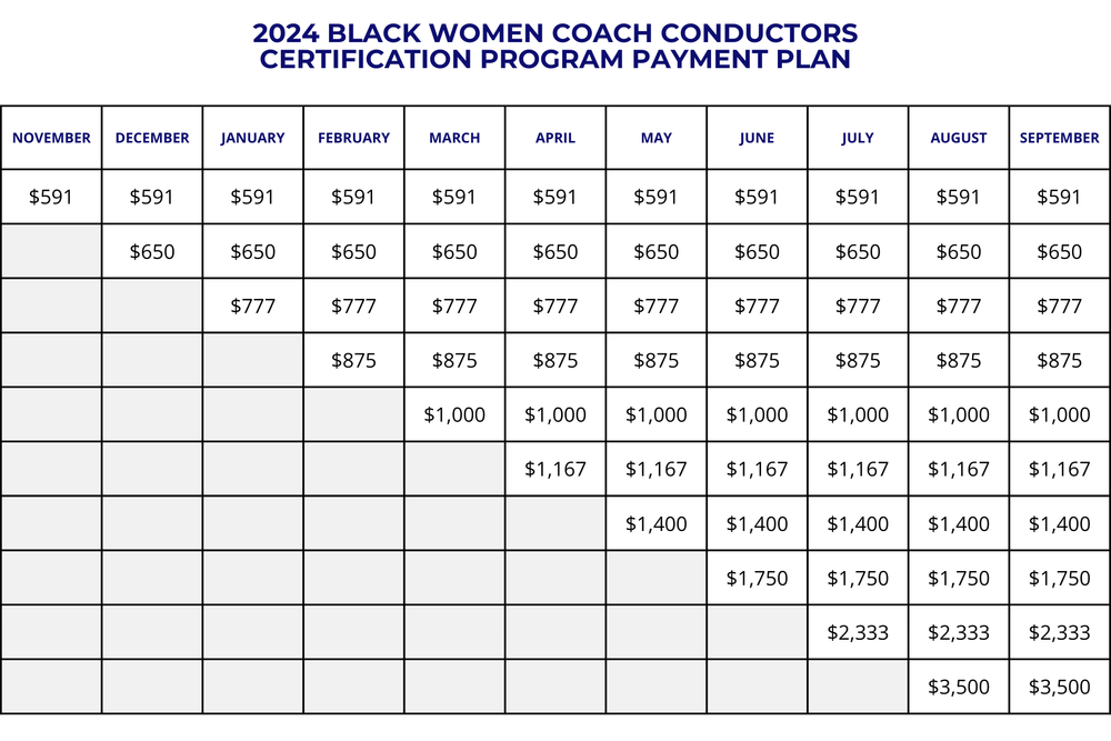 Black Women Conductors Coaching Certification Cohort | Blooming Willow ...