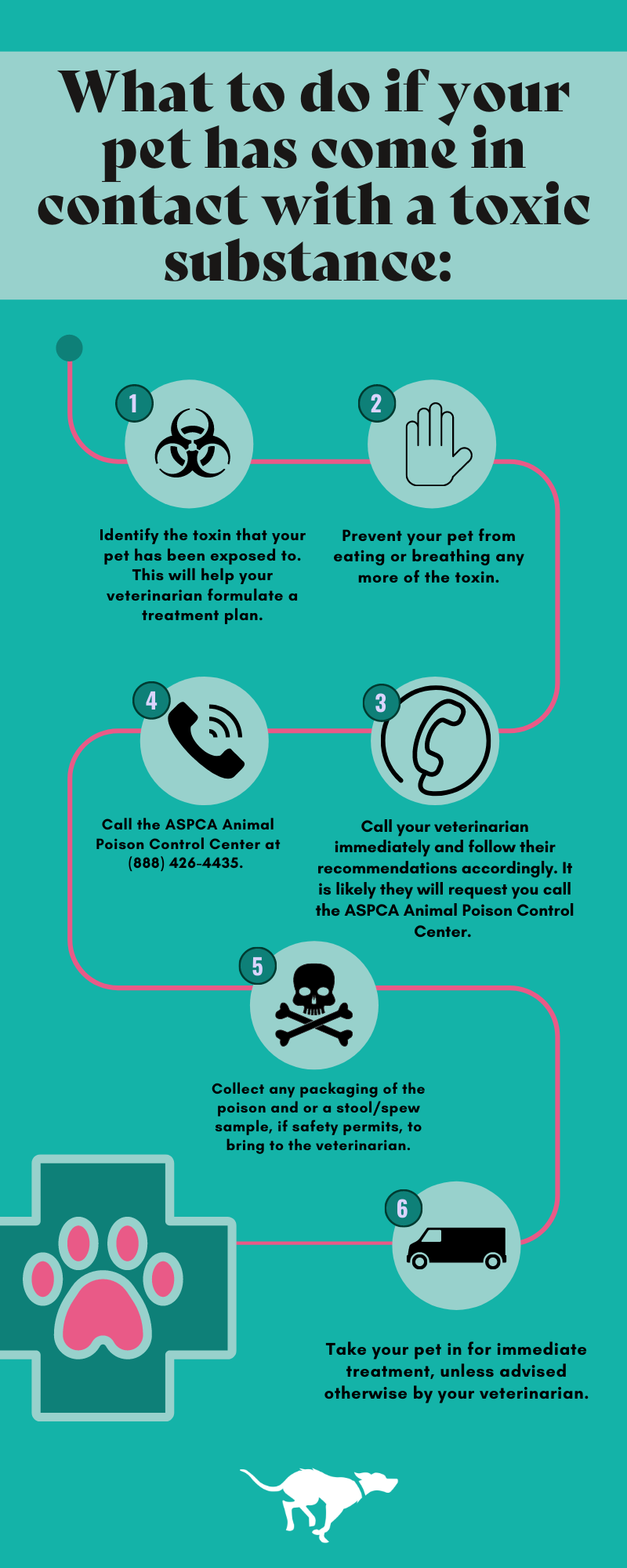 What to do if your pet has been poisoned — Rockin' Pets, Rollin' Vets