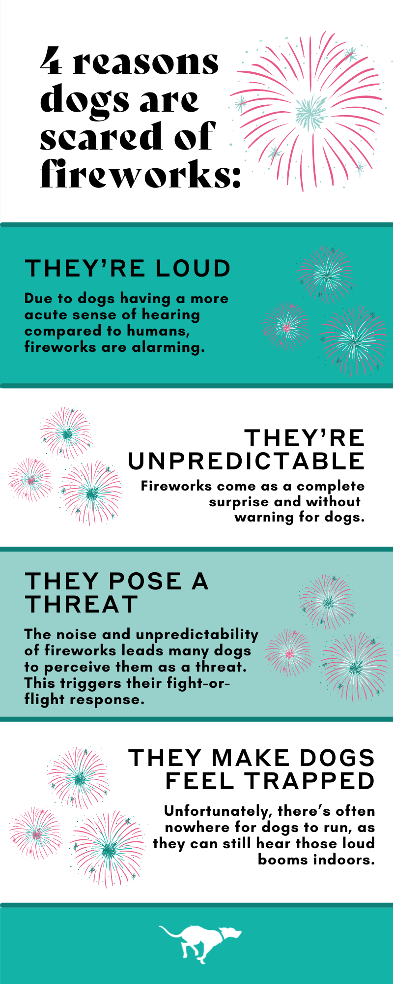 Firework Safety — Rockin' Pets, Rollin' Vets