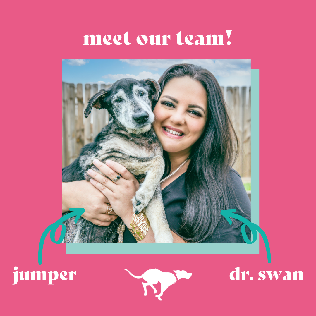 Meet Dr. Marissa Swan — Rockin' Pets, Rollin' Vets