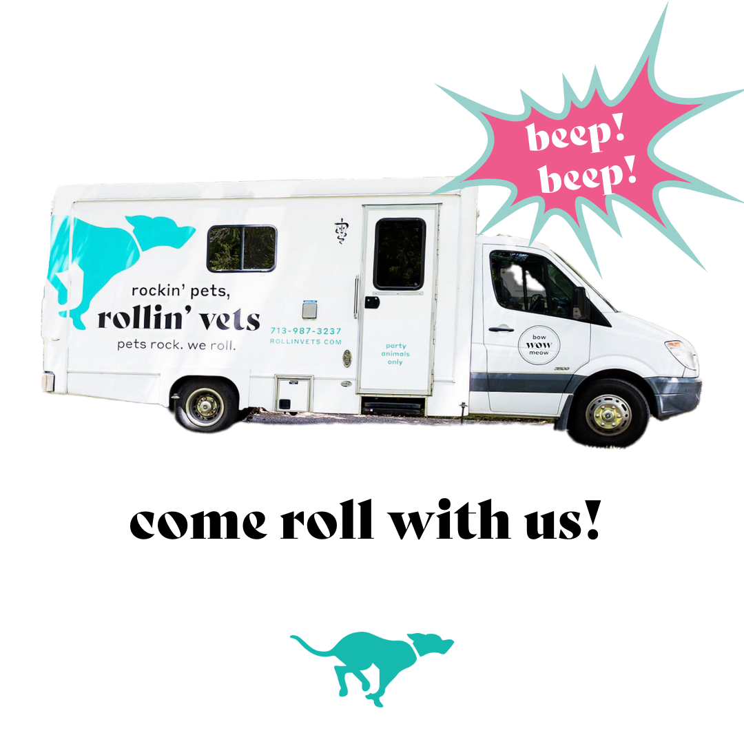 Rockin Pets Rollin Vets