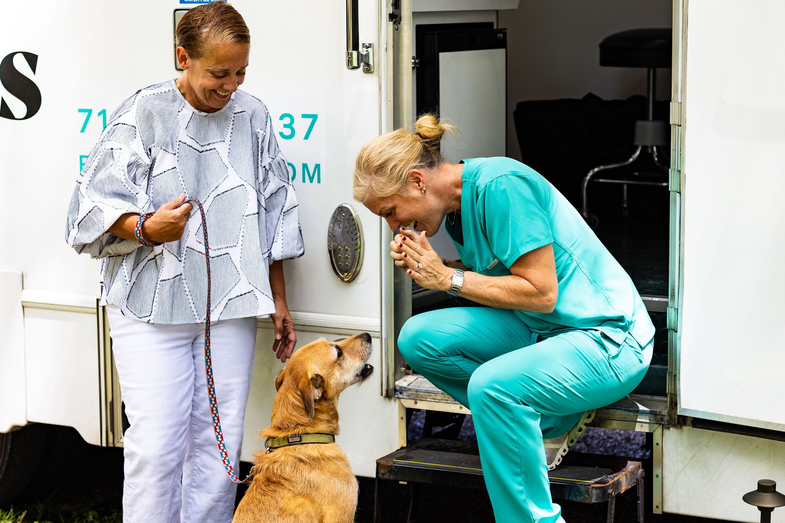 Houston, The Woodlands, and Austin's Premiere Mobile Vet - Rockin' Pets ...