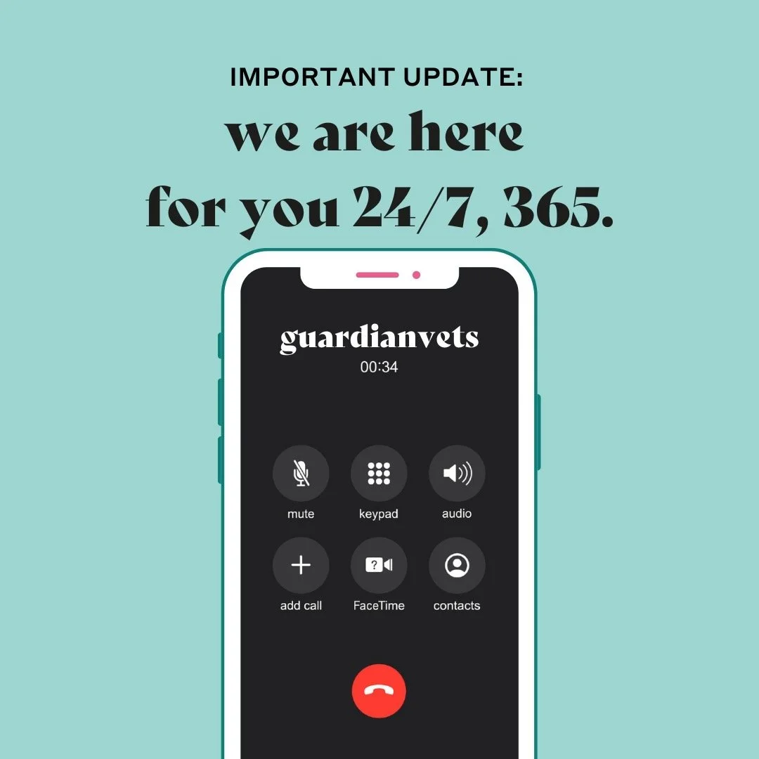 exciting news! we’re here for you when you need us. all the time ...