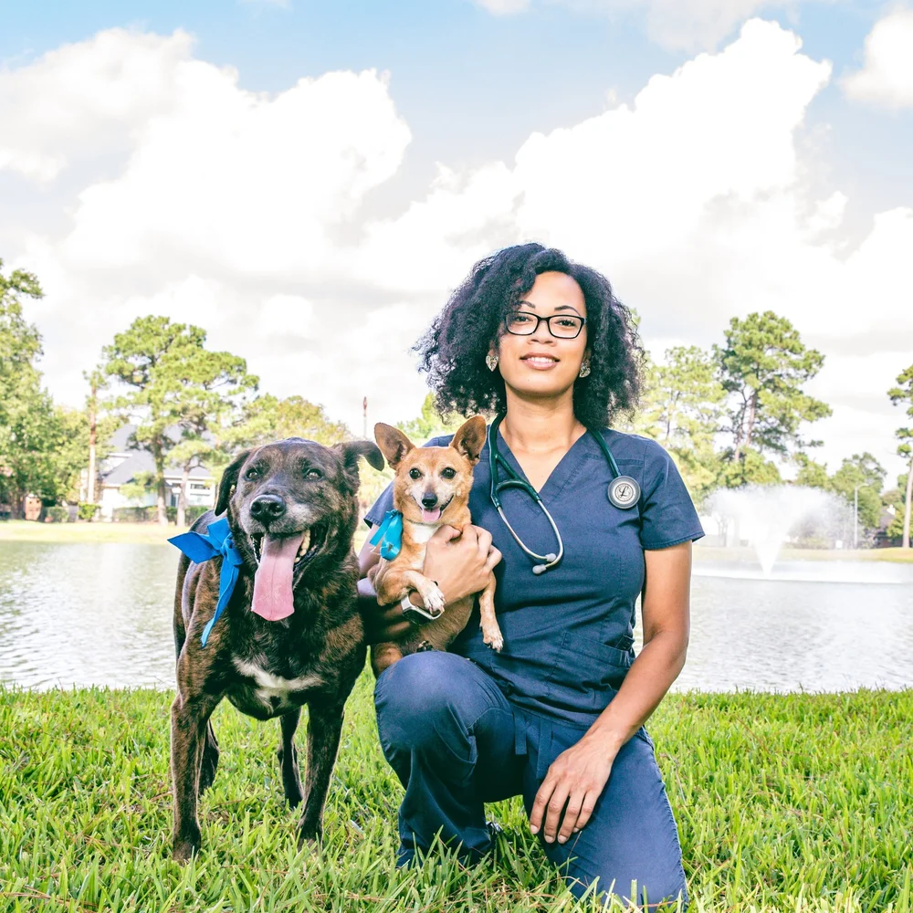 5 reasons you should join the Rollin’ Vets team — Rockin' Pets, Rollin ...