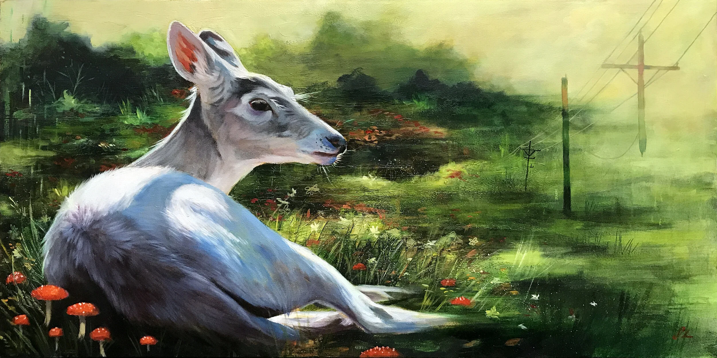 Available paintings — Shana Patry Artist
