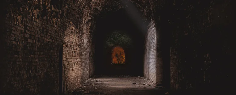 Consumed — Grim & Mild