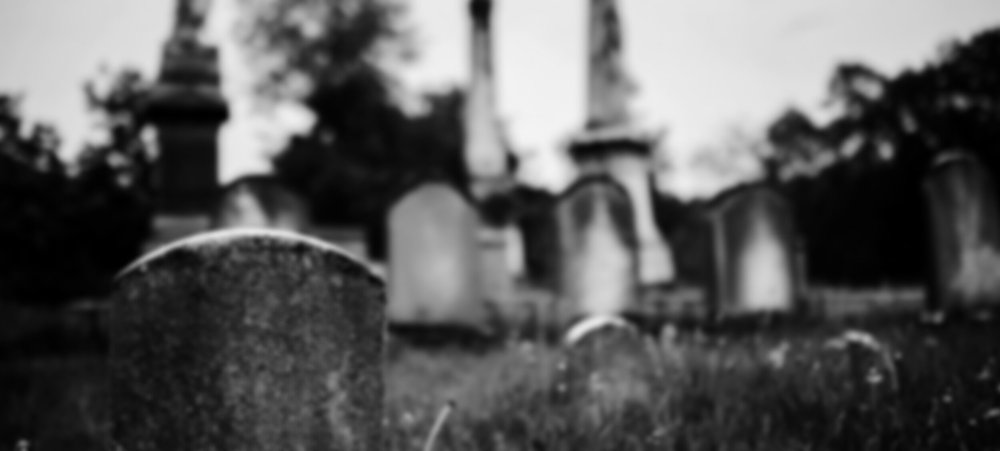 Shop — Grim & Mild