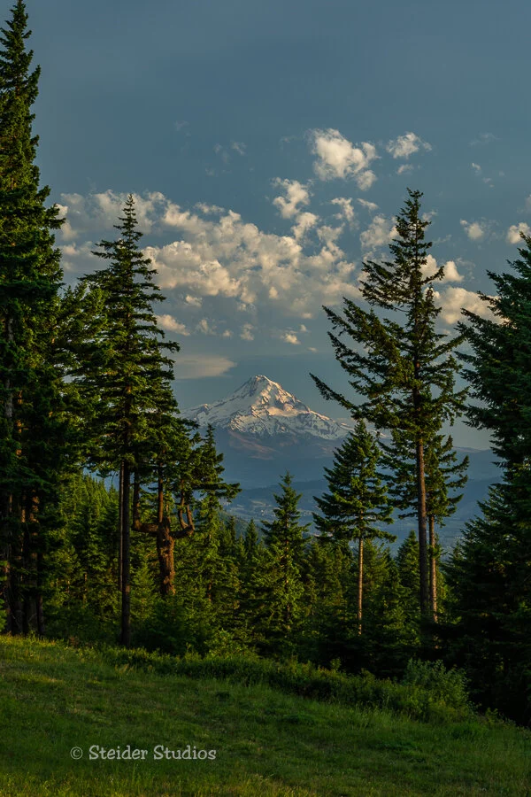Mt. Hood — Steider Studios