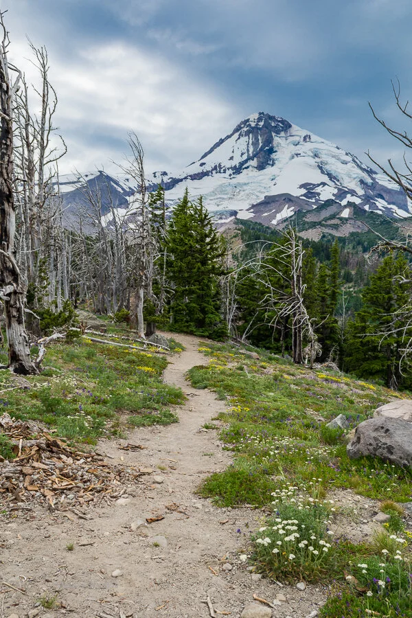 Mt. Hood — Steider Studios