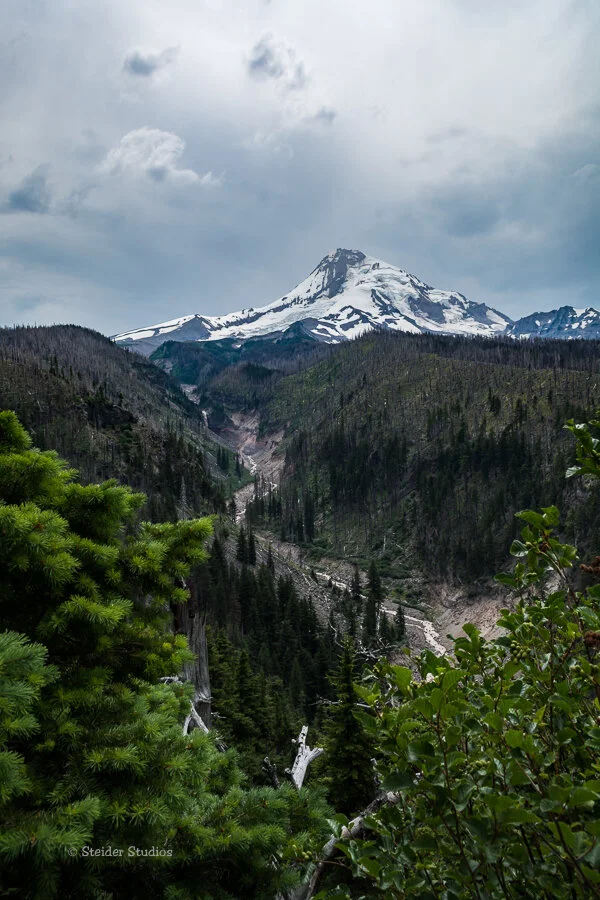 Mt. Hood — Steider Studios
