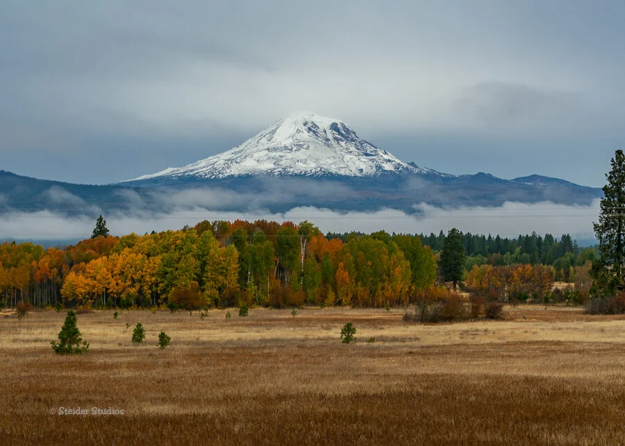 Mt Adams — Steider Studios